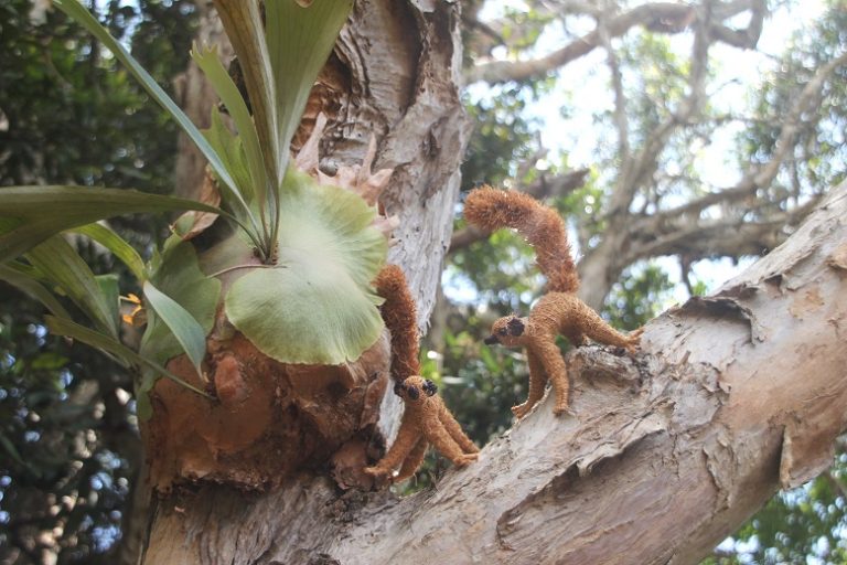 RAFFIA LEMURS - Mada Collective