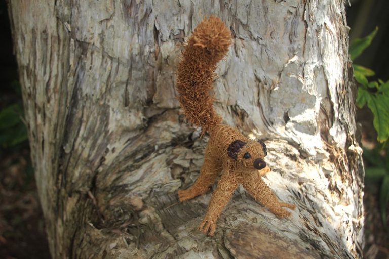 Raffia Lemurs - Mada Collective